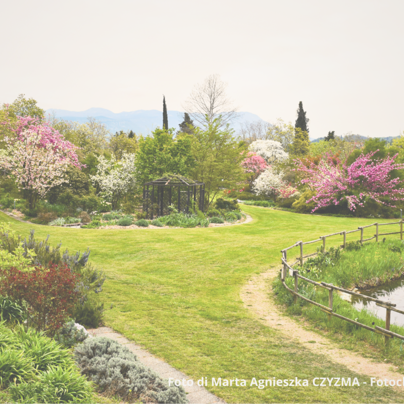 Servizi - GoGreen Experience: Itinerario Narrativo "Il Giardino Viatori"